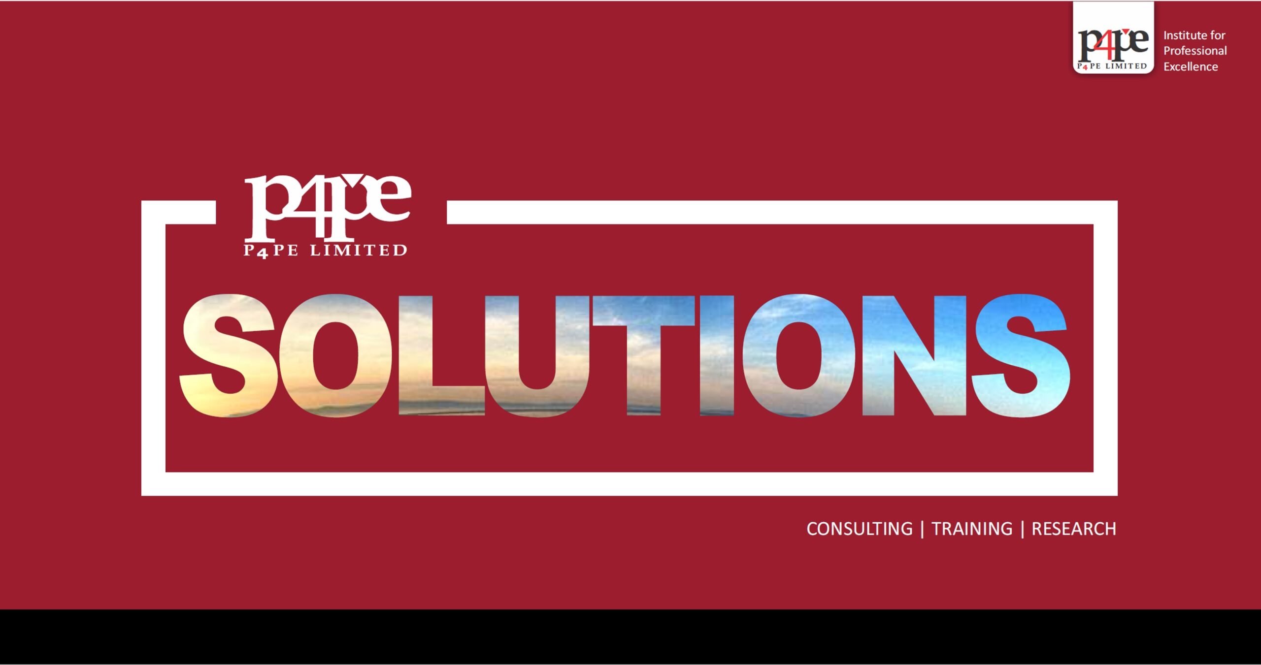 P4PE Institute – P4PE Corporate Website