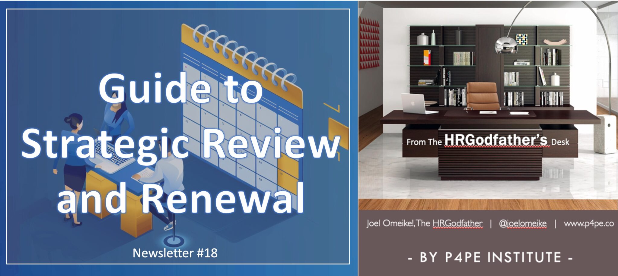 Guide to Strategic Review and Renewal – P4PE Institute